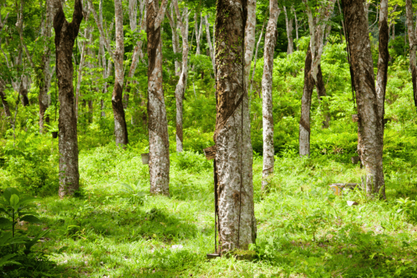 The Complete Guide to Synthetic Materials and Fabrics